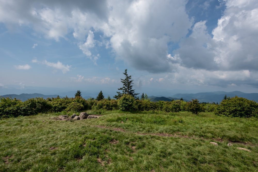 5 of the Best Spring Hikes in the Smoky Mountains