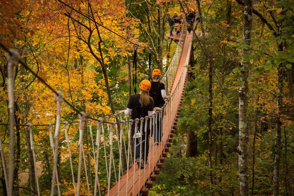 Why Our Mountaintop Zipline Tour is the Best Way to Celebrate Fall in ...