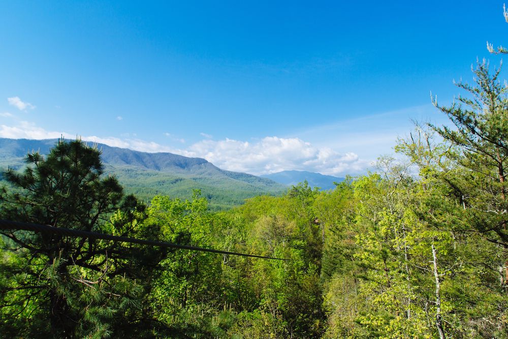 All About One of The Best Ziplines in Gatlinburg: Treetop Zipline Tour
