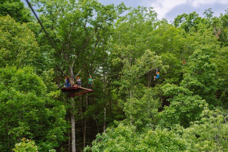 Top 4 Reasons to Introduce Your Kids to Ziplining in Gatlinburg TN